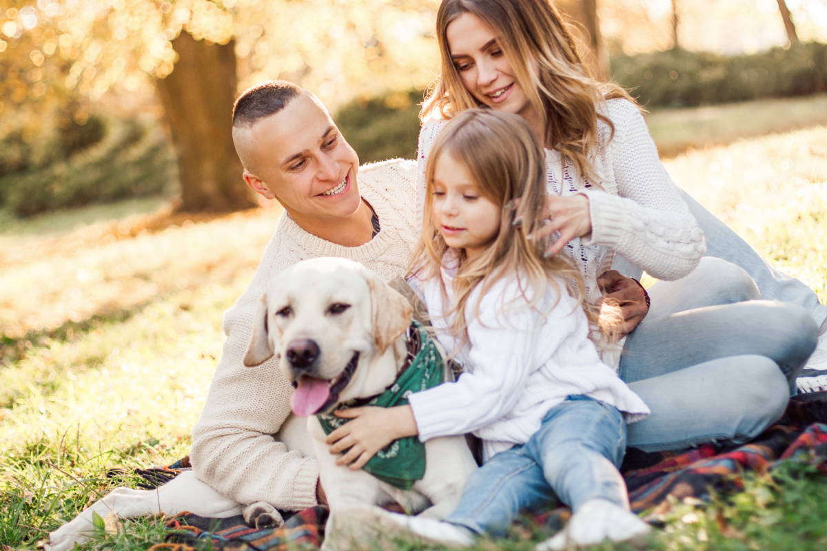 Family Counseling Near West Hills, CA - Therapy Ties